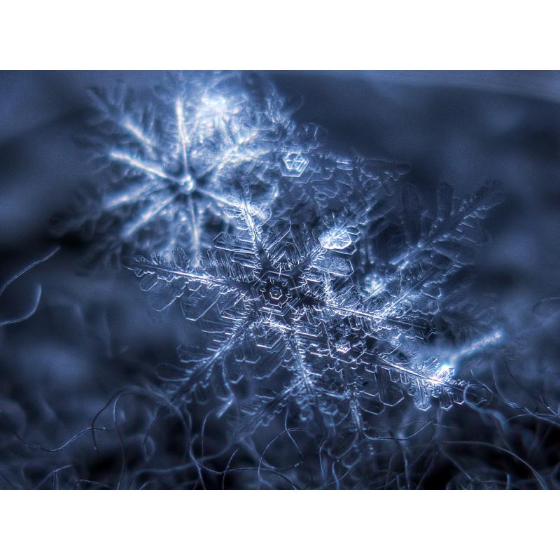 Le zéro absolu est vraiment absolu | Agence Science-Presse