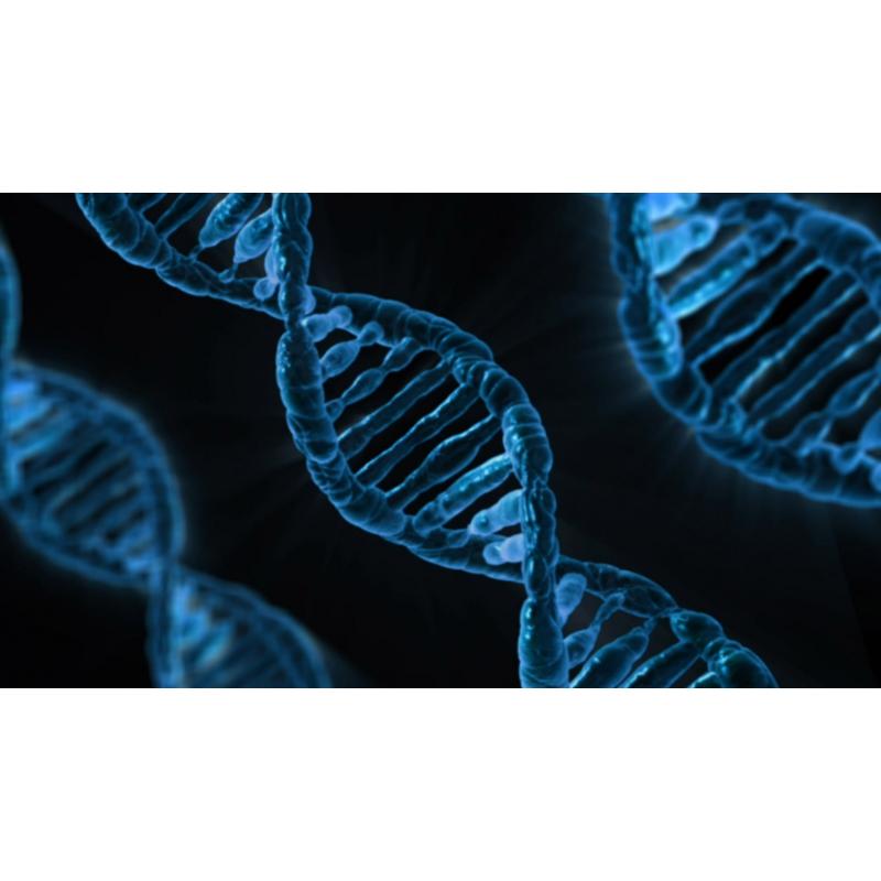 Manipulation génétique : dernières nouvelles de CRISPR | Agence Science ...