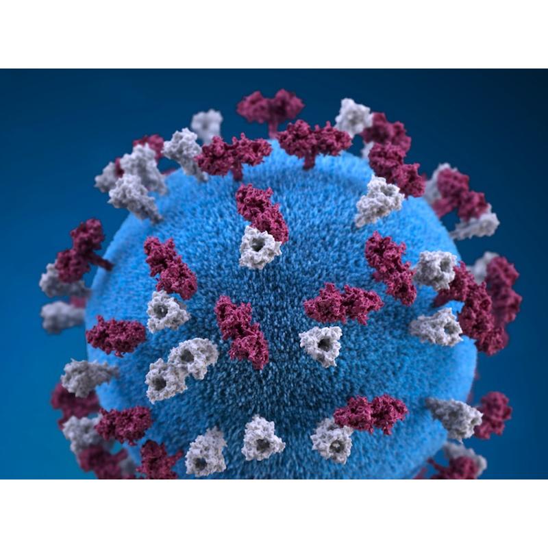 Résurgence de la rougeole dans un point chaud des anti-vaccins | Agence ...