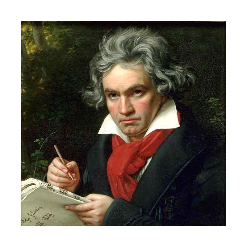 Zoom sur la musique de Beethoven | Agence Science-Presse