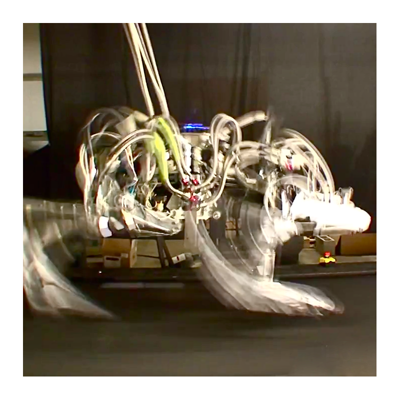 Le robot le plus rapide du monde | Agence Science-Presse