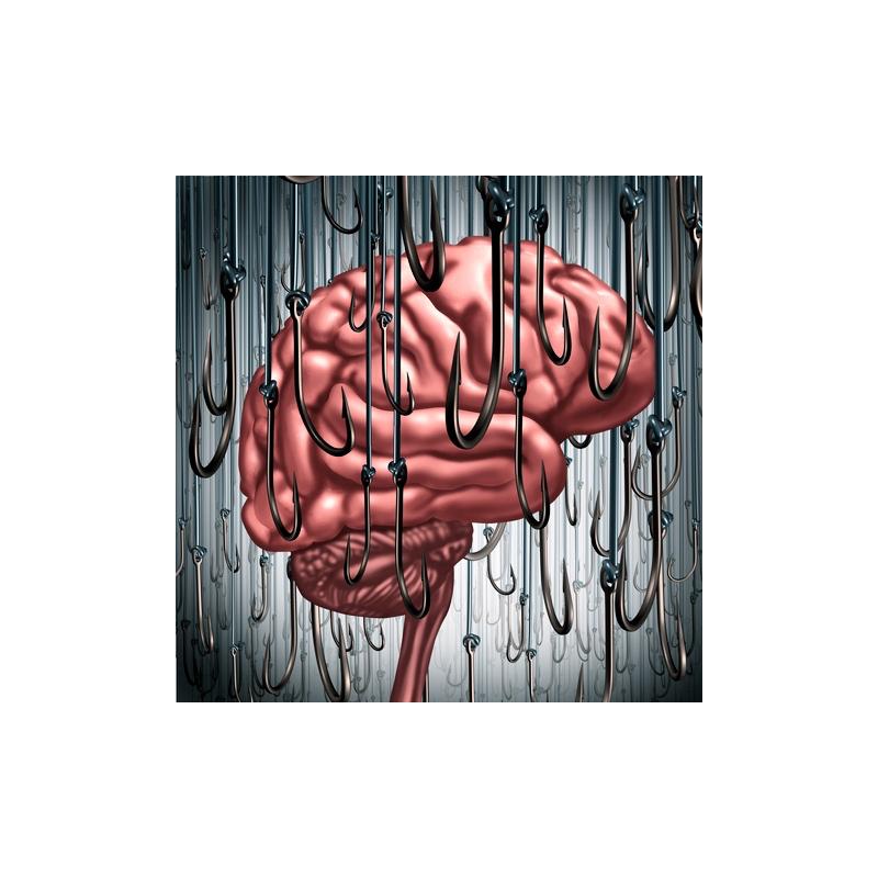 Décrypter les addictions du cerveau | Agence Science-Presse