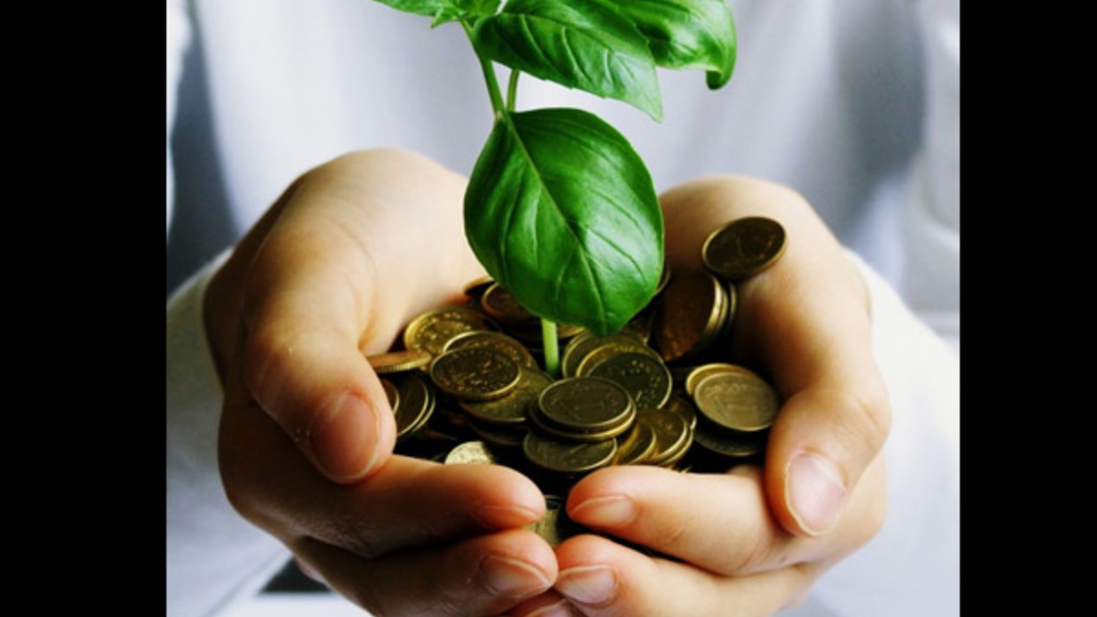 Des millions d’emplois verts | Agence Science-Presse