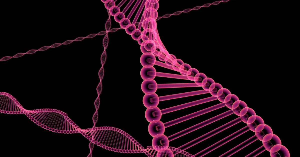 Des règles pour encadrer l’édition de gènes d’embryons | Agence Science ...