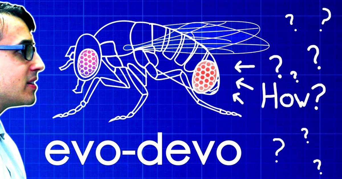 A Capella Science : les délires géniaux de Tim Blais | Agence Science ...