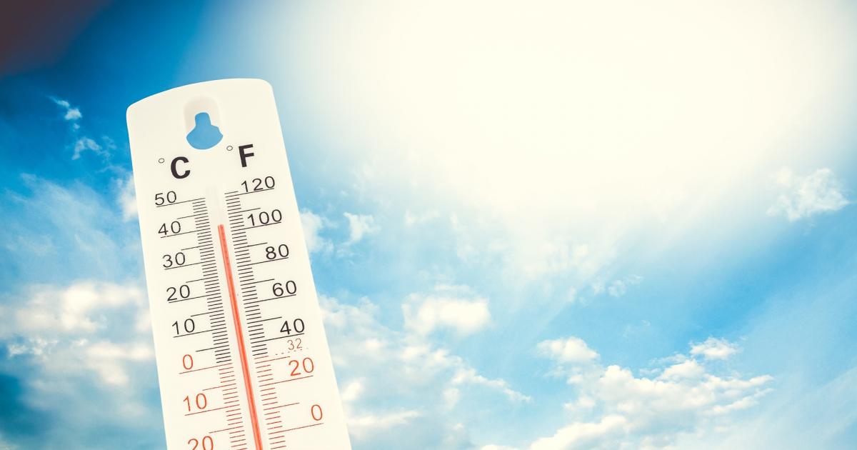 Des canicules plus longues et plus fréquentes | Agence Science-Presse