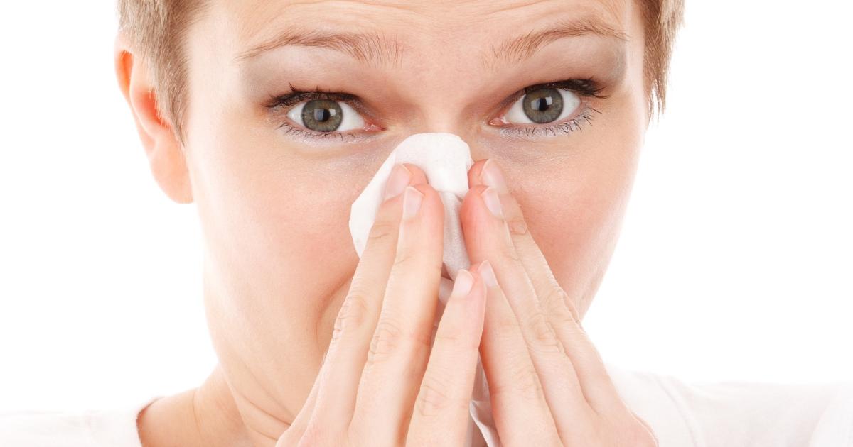 Pour bien s’orienter, vaut mieux avoir du nez! | Agence Science-Presse