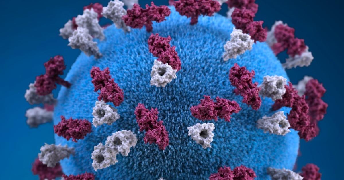 Ils ont apporté la rougeole à l'école | Agence Science-Presse