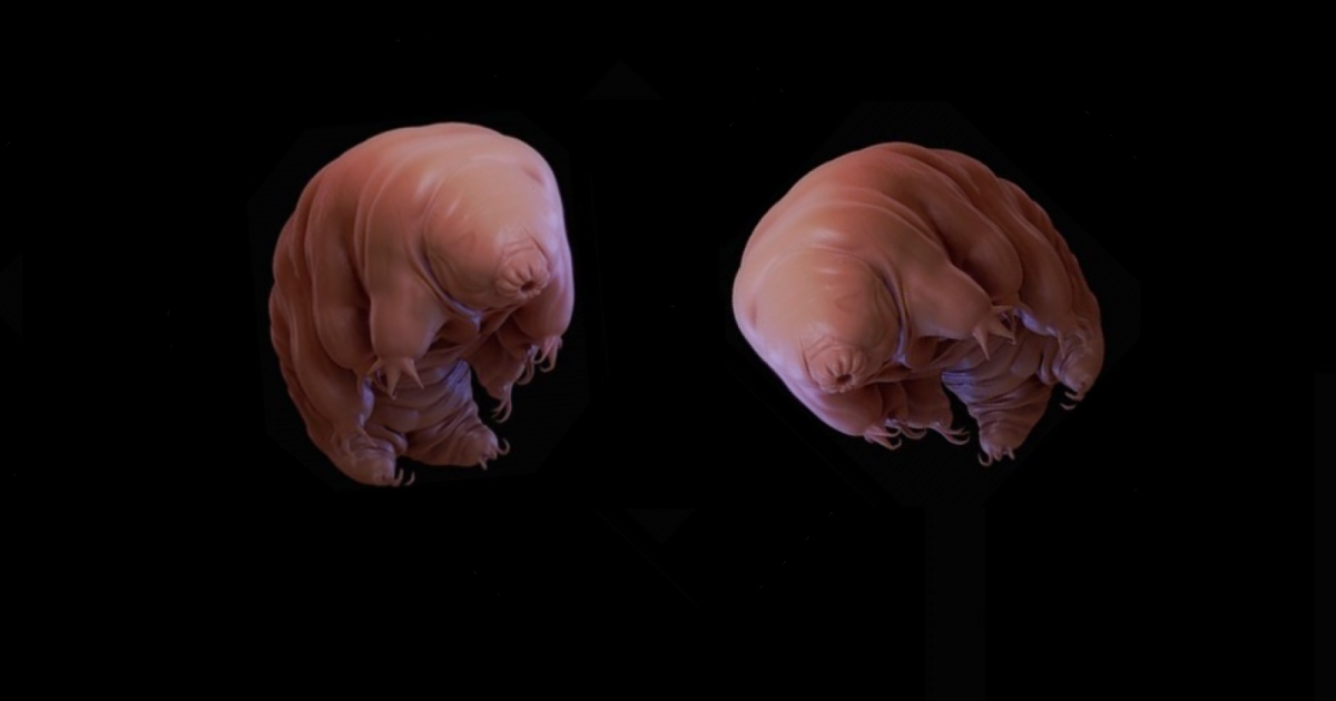 Ces bestioles microscopiques hériteront de la Terre | Agence Science-Presse