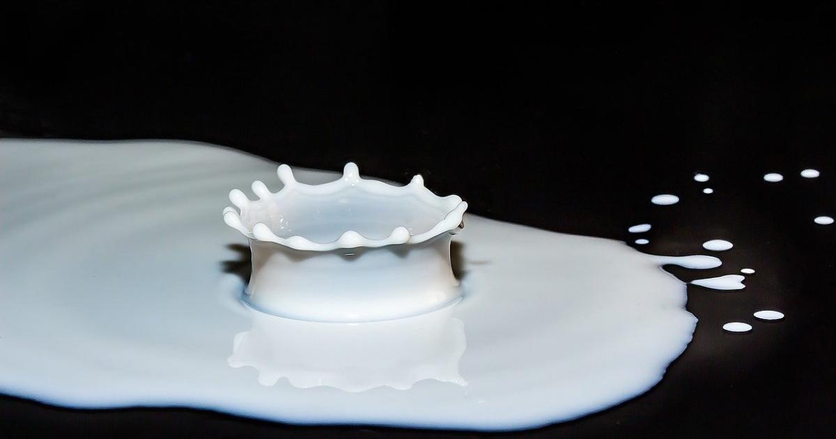 Malades pour cause de lait cru | Agence Science-Presse