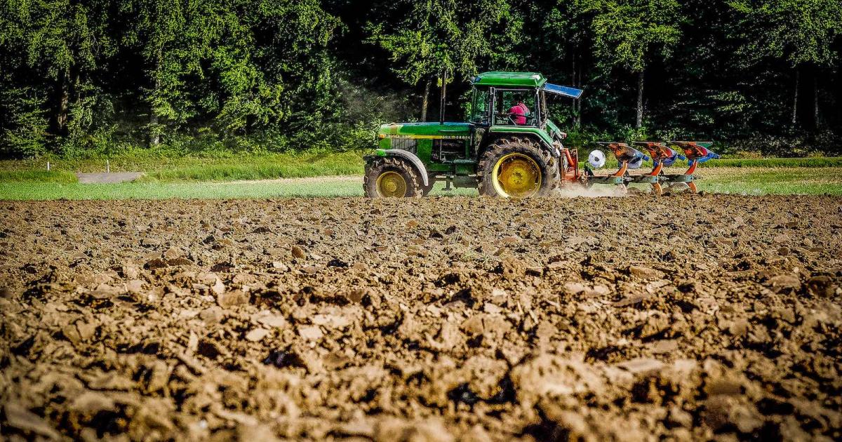 Agriculture: il y en aurait assez pour nourrir la population mondiale ...