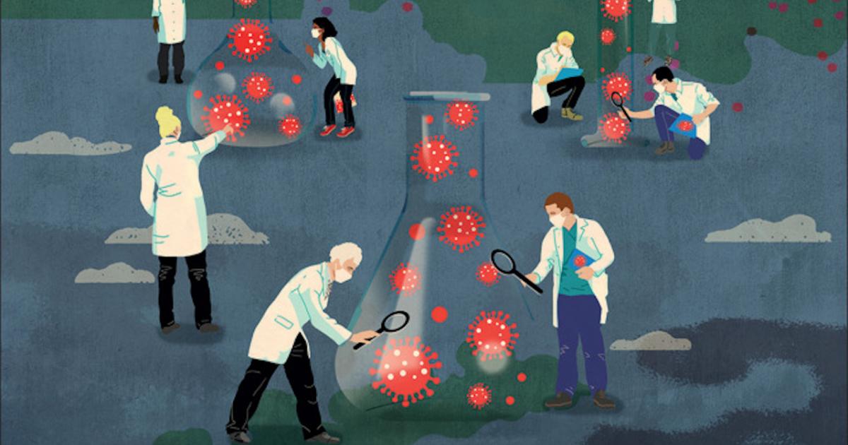 Le même virus, ou une espèce différente? | Agence Science-Presse