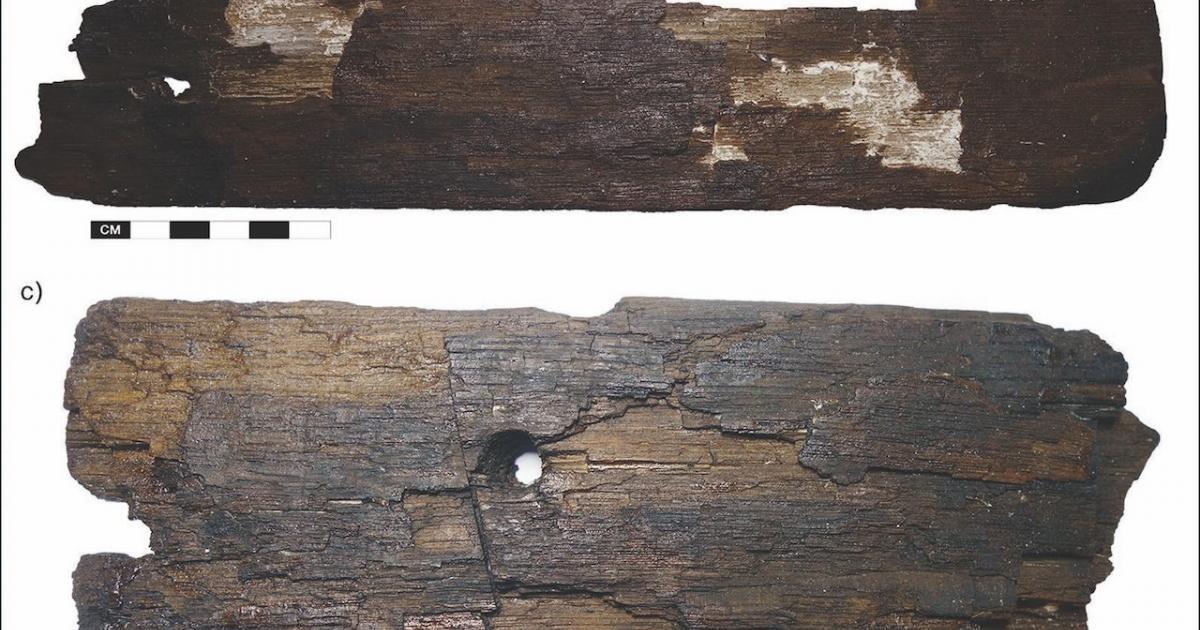 Bois d’Amérique importé par les Vikings | Agence Science-Presse