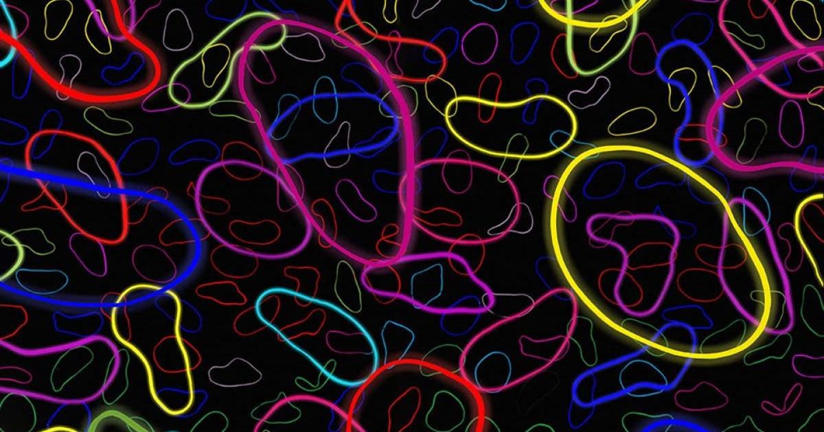 Pourquoi la théorie des cordes ? | Agence Science-Presse