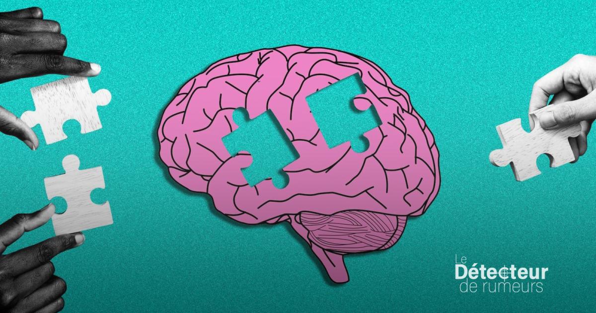 Les intelligences multiples, appuyées sur des faits scientifiques? Faux ...