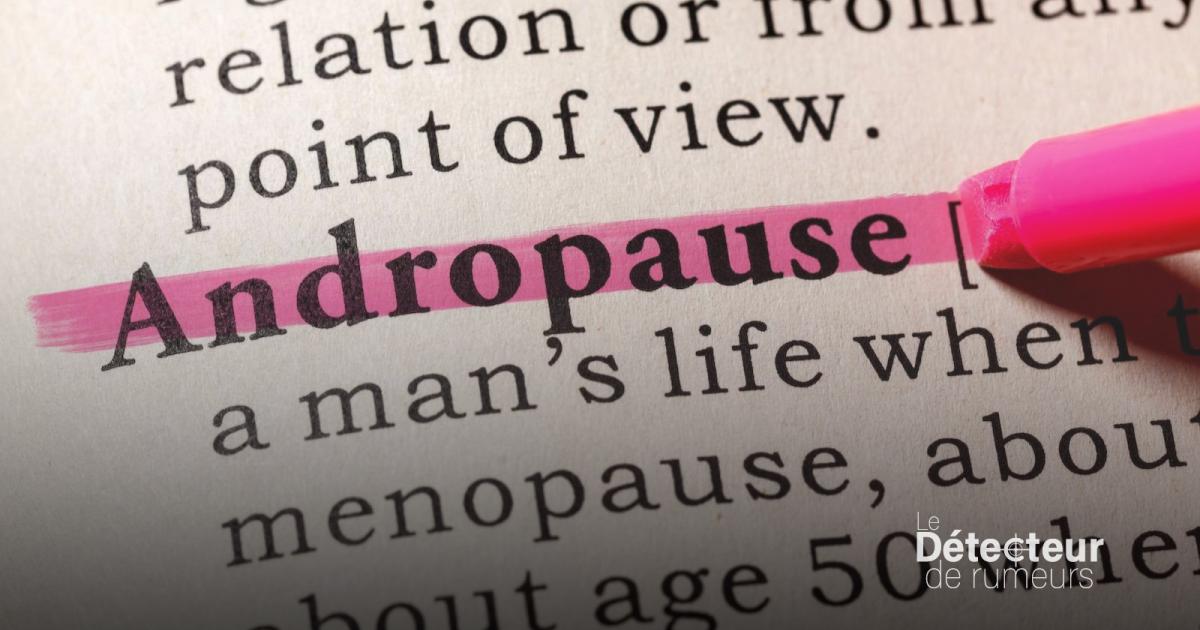 Ce qu'il faut savoir sur l’andropause | Agence Science-Presse