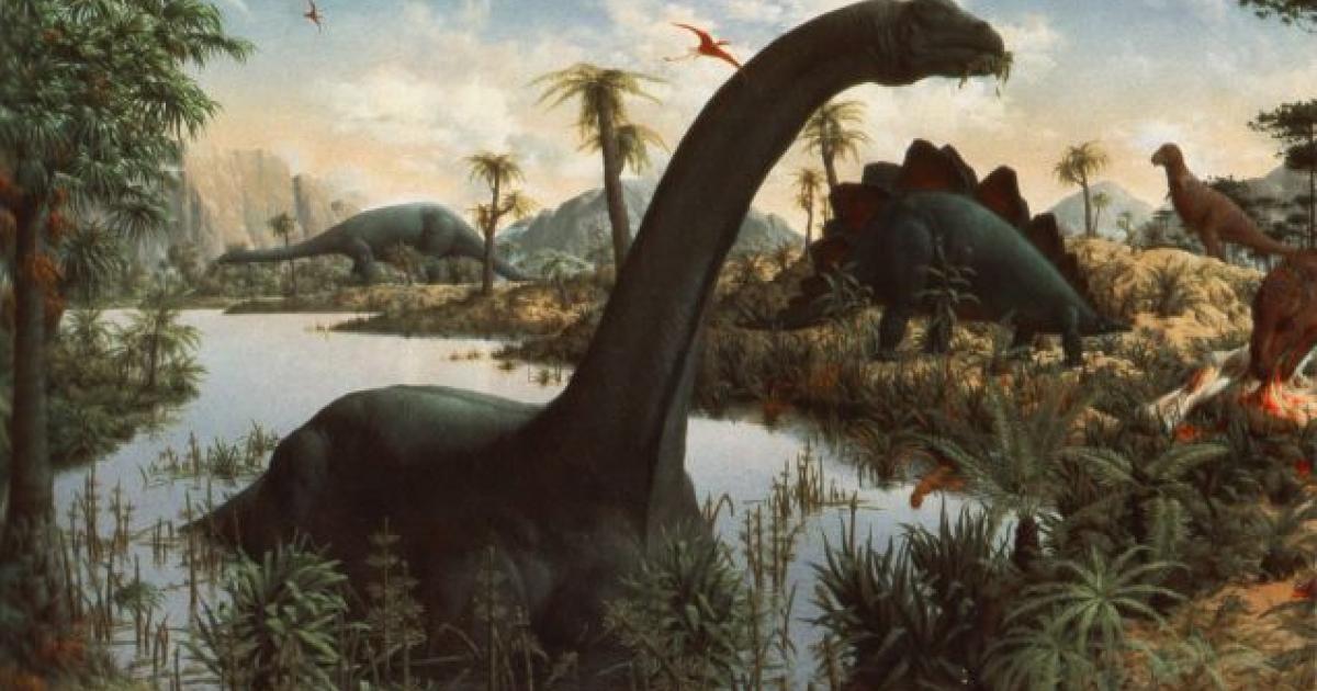 Le grand retour du Brontosaure | Agence Science-Presse