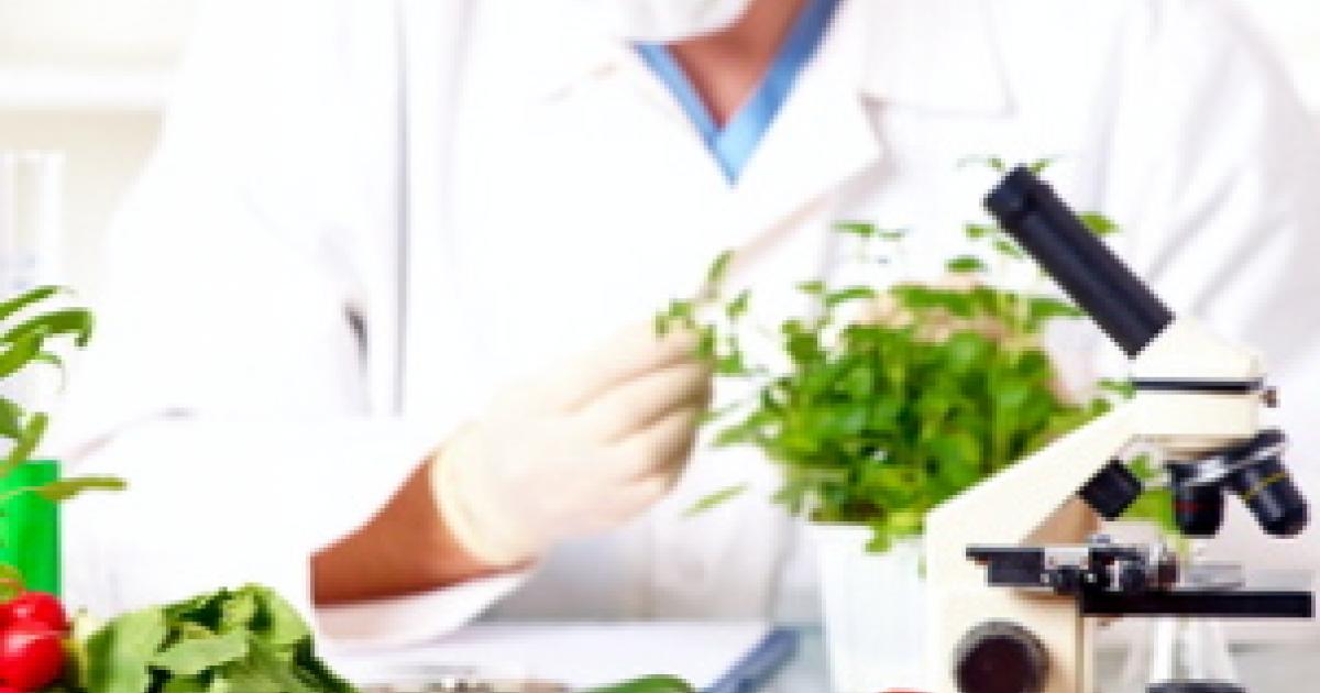 Gentils OGM | Agence Science-Presse