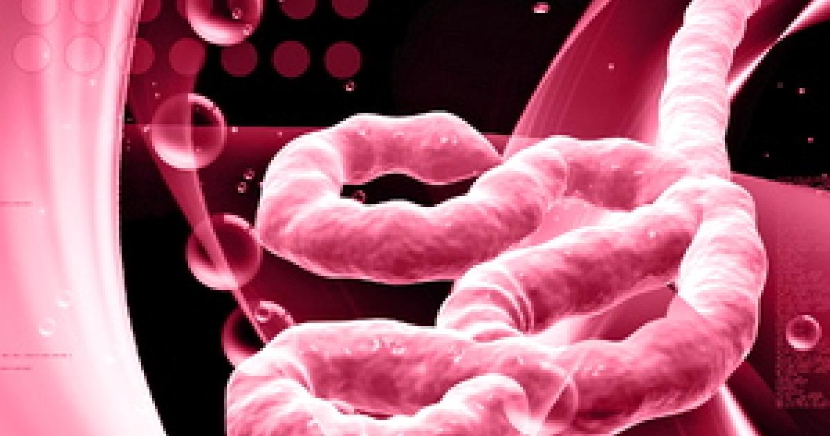 Le virus en nous | Agence Science-Presse