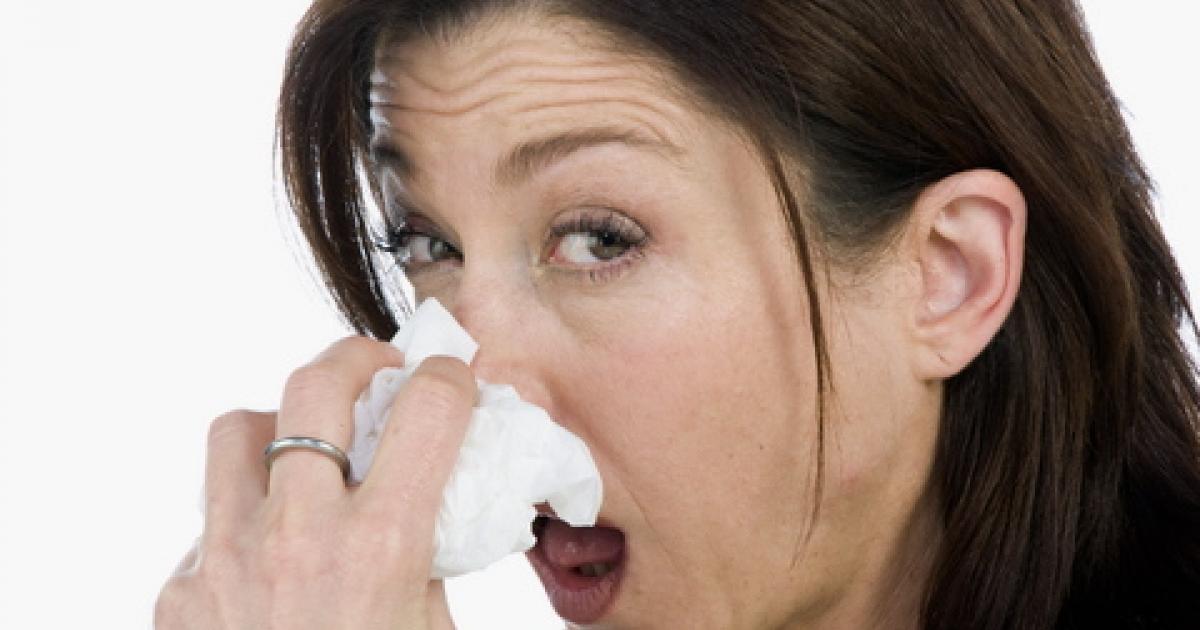 À poux ou à la puce : de quelle herbe s’agit-il? | Agence Science-Presse