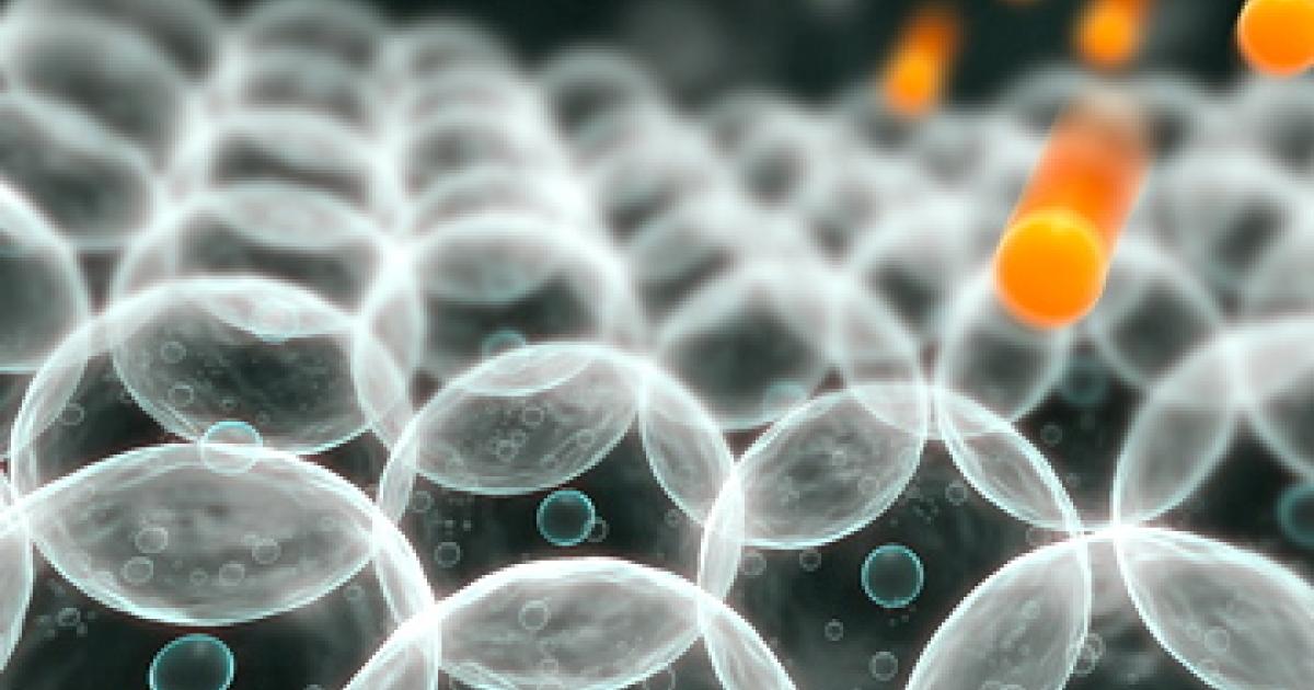 Des radicaux libres pour moins vieillir | Agence Science-Presse