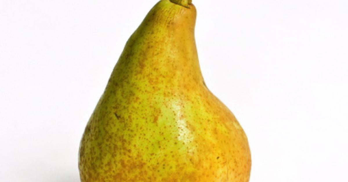 Une mémoire de poire | Agence Science-Presse