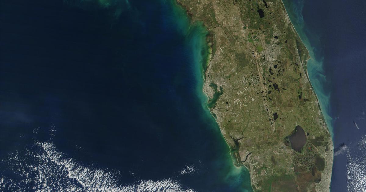 Une marée rouge frappe le sud-ouest de la Floride | Agence Science-Presse