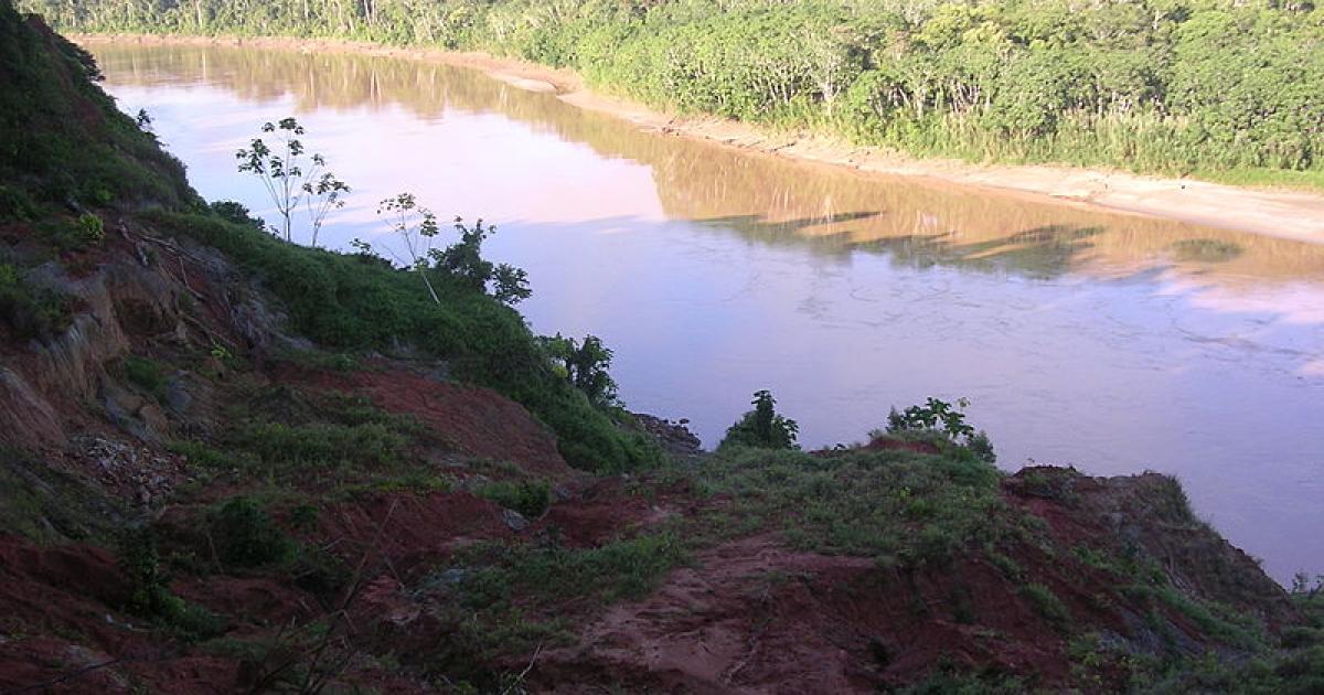 Le piège doré des forêts du Pérou | Agence Science-Presse