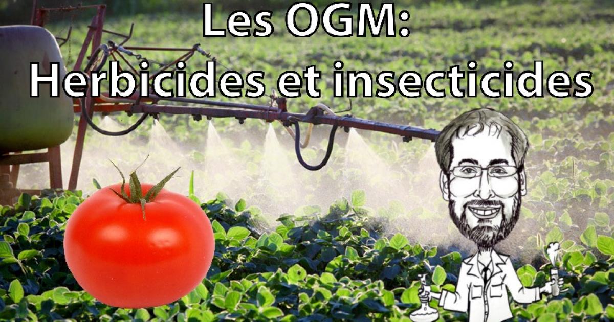 Les OGM: Herbicides et insecticides | Agence Science-Presse