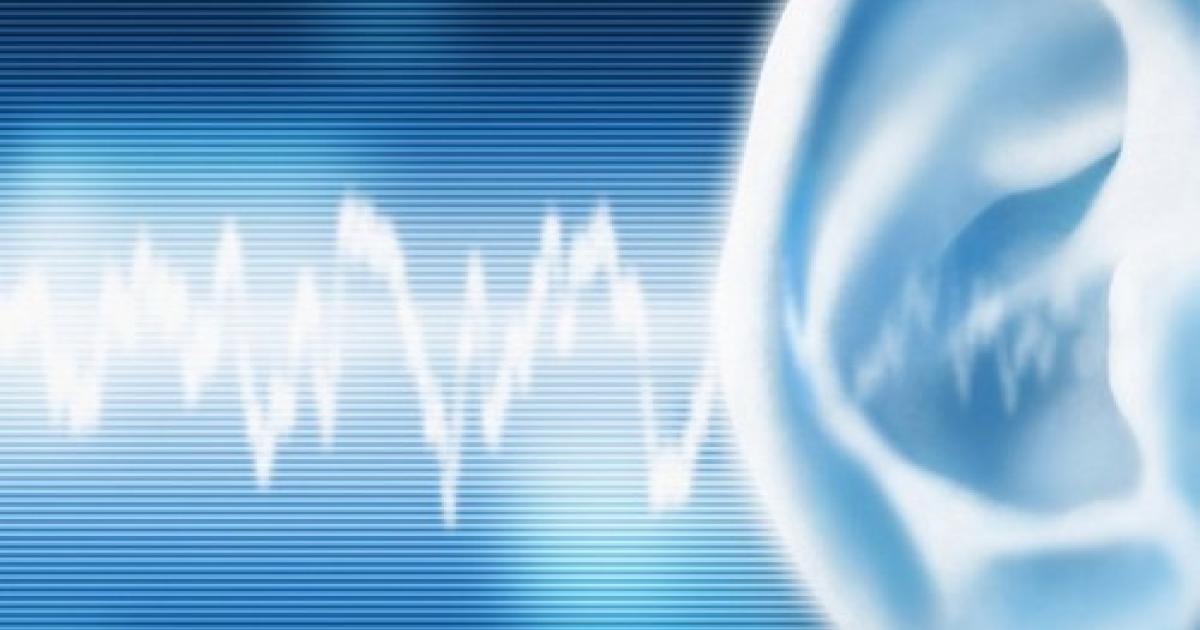 Comment le cerveau se concentre sur une voix dans une salle bruyante ...