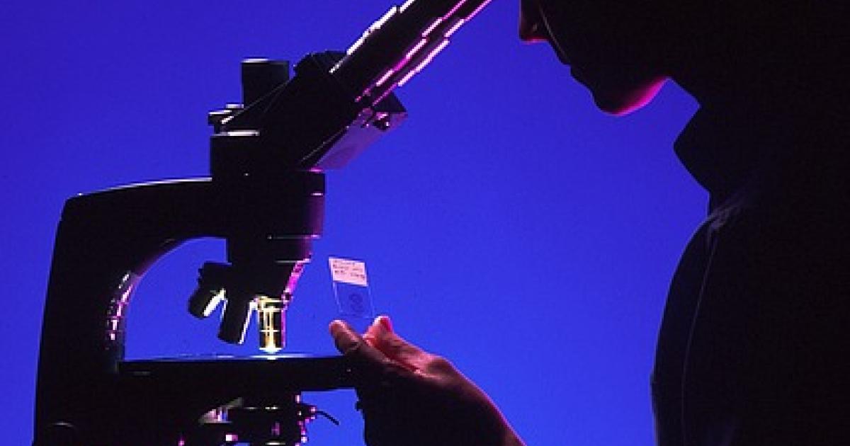 Un chercheur, ça cherche quoi ? | Agence Science-Presse